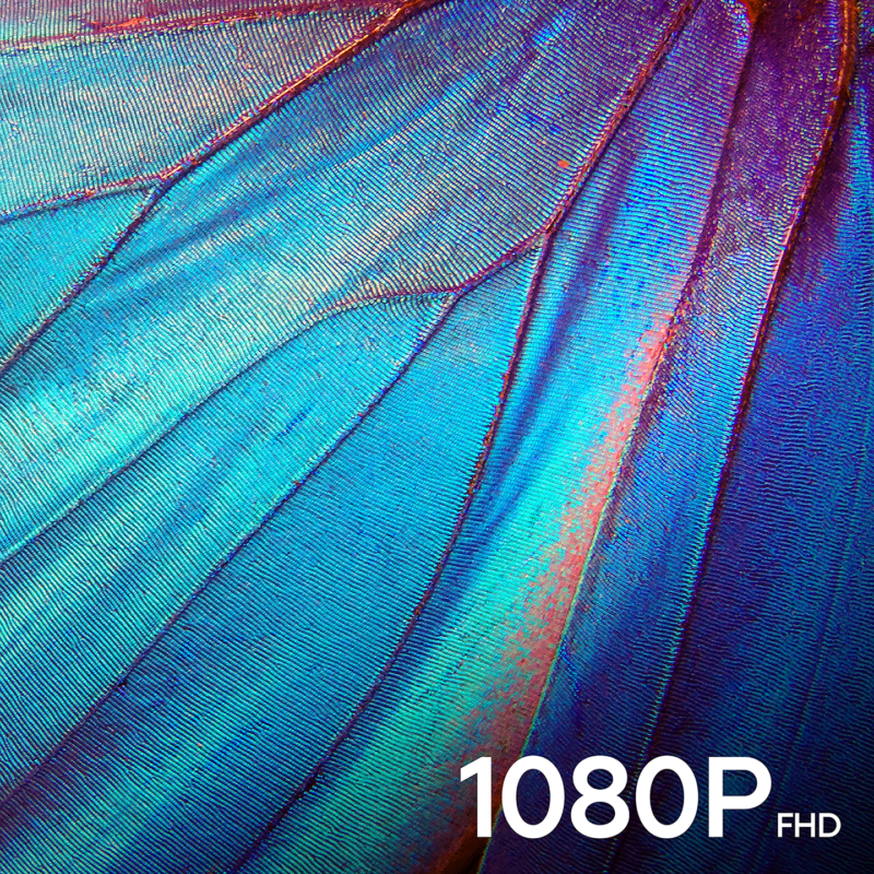EM2FPAF32B 1080P Resolution | Element Electronics