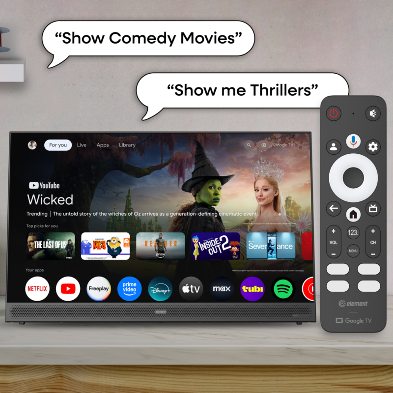 Google Assistant - Google Portable | Element Electronics